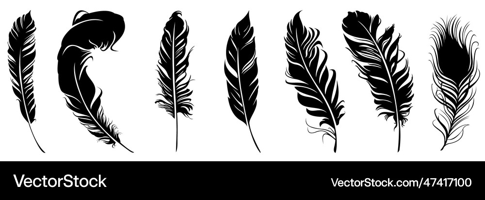 Feather Royalty Free Vector Image - VectorStock