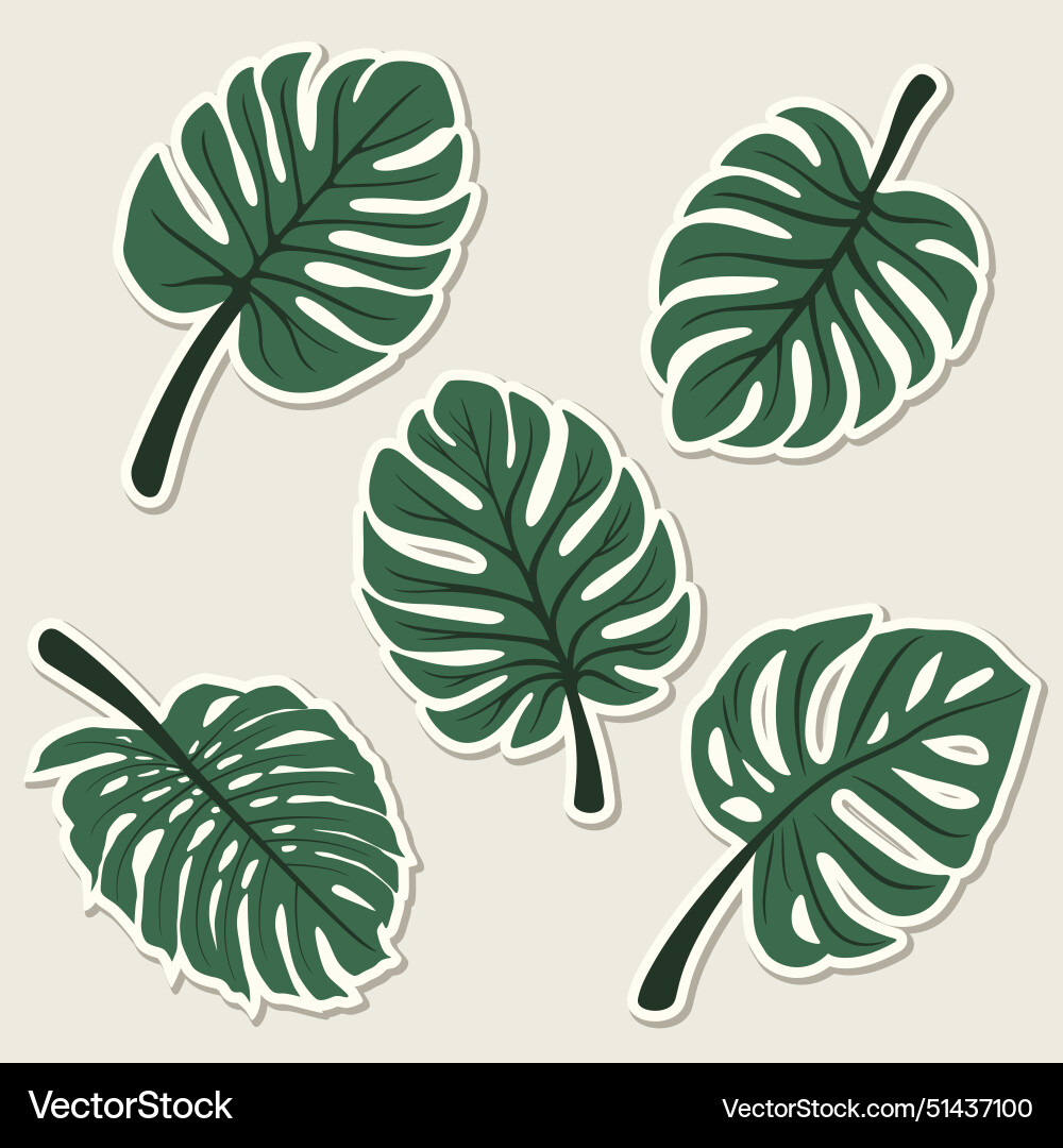 Flat monstera leaf icon foliage Royalty Free Vector Image