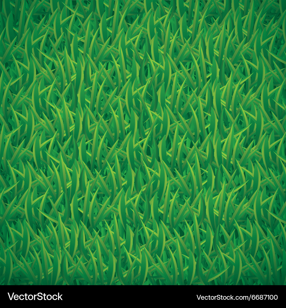 Green grass background Royalty Free Vector Image