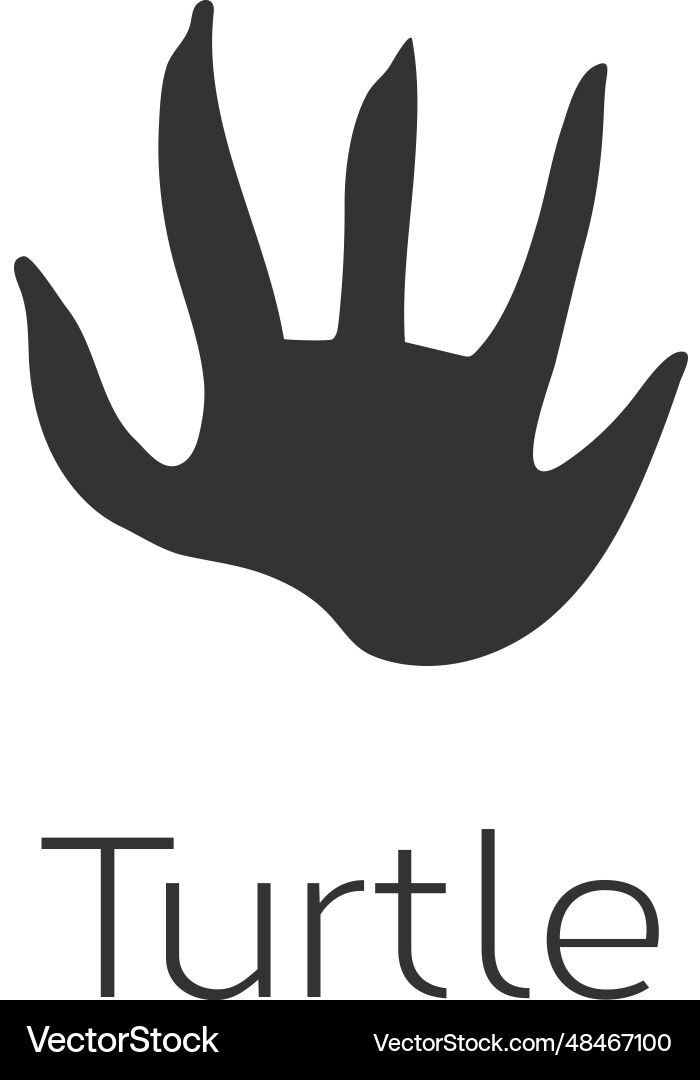 Turtle Footprint