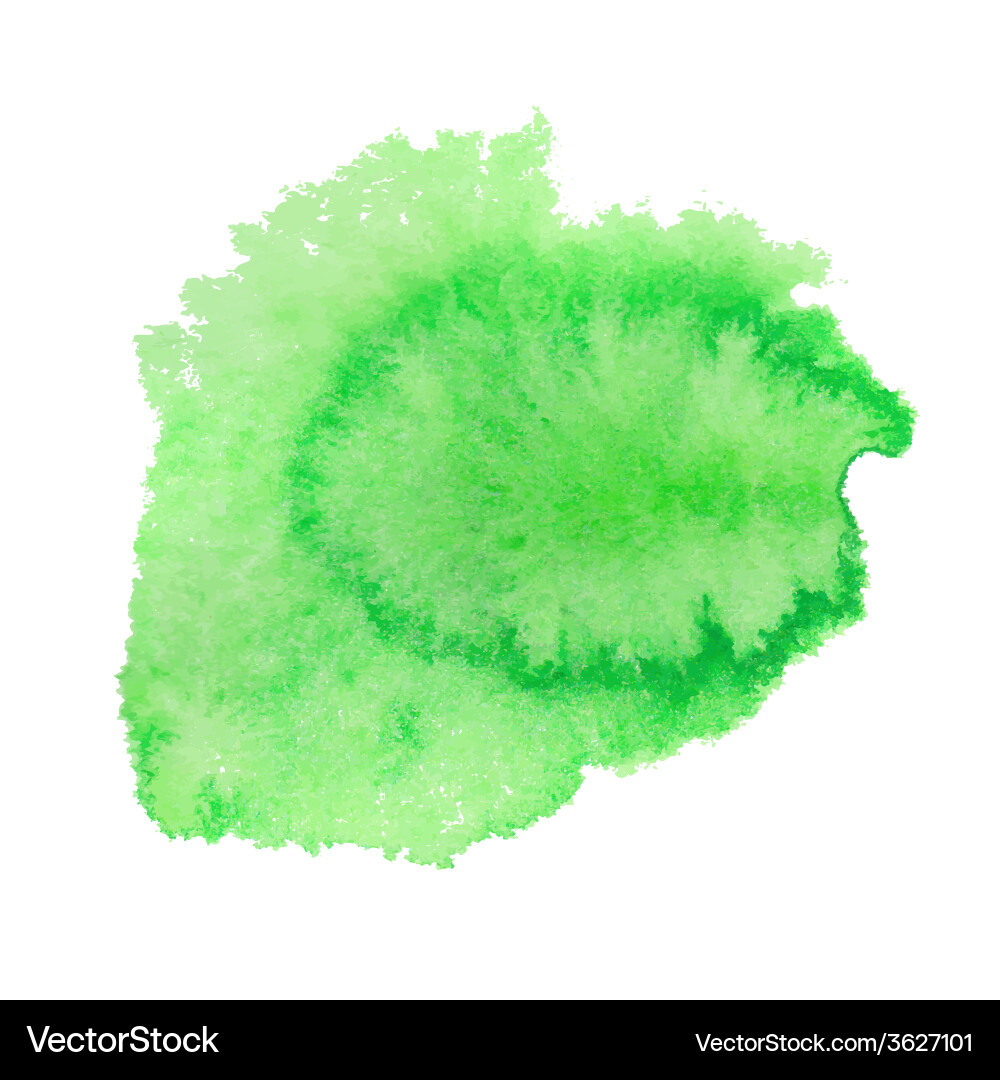 Green watercolor spot Royalty Free Vector Image