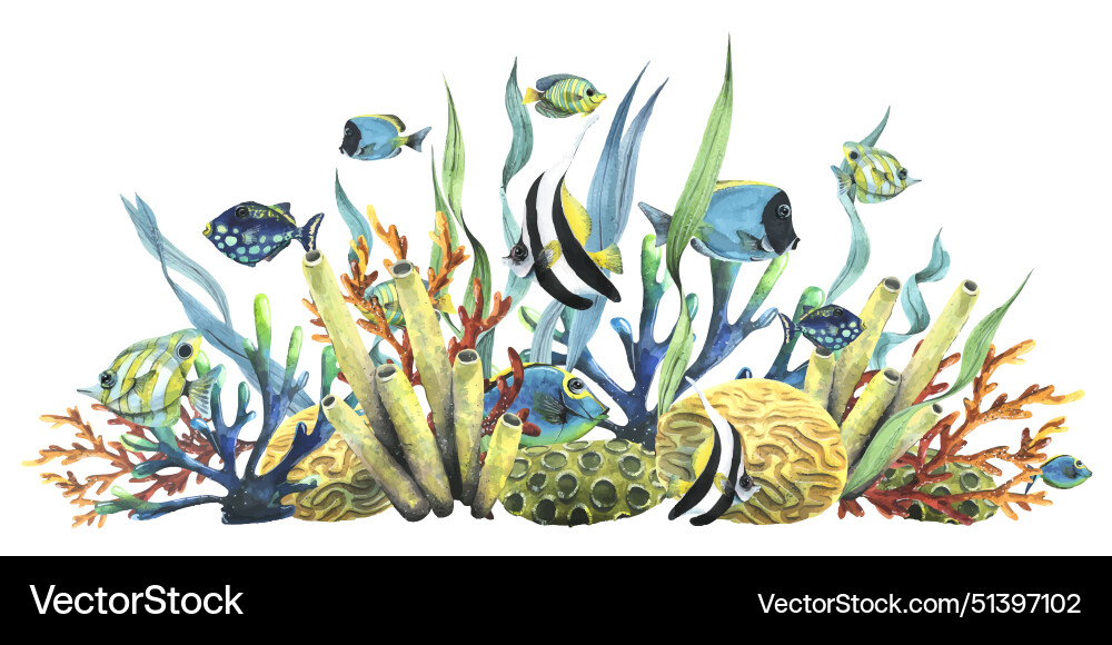 Bright reef fish with corals sea sponges Vector Image