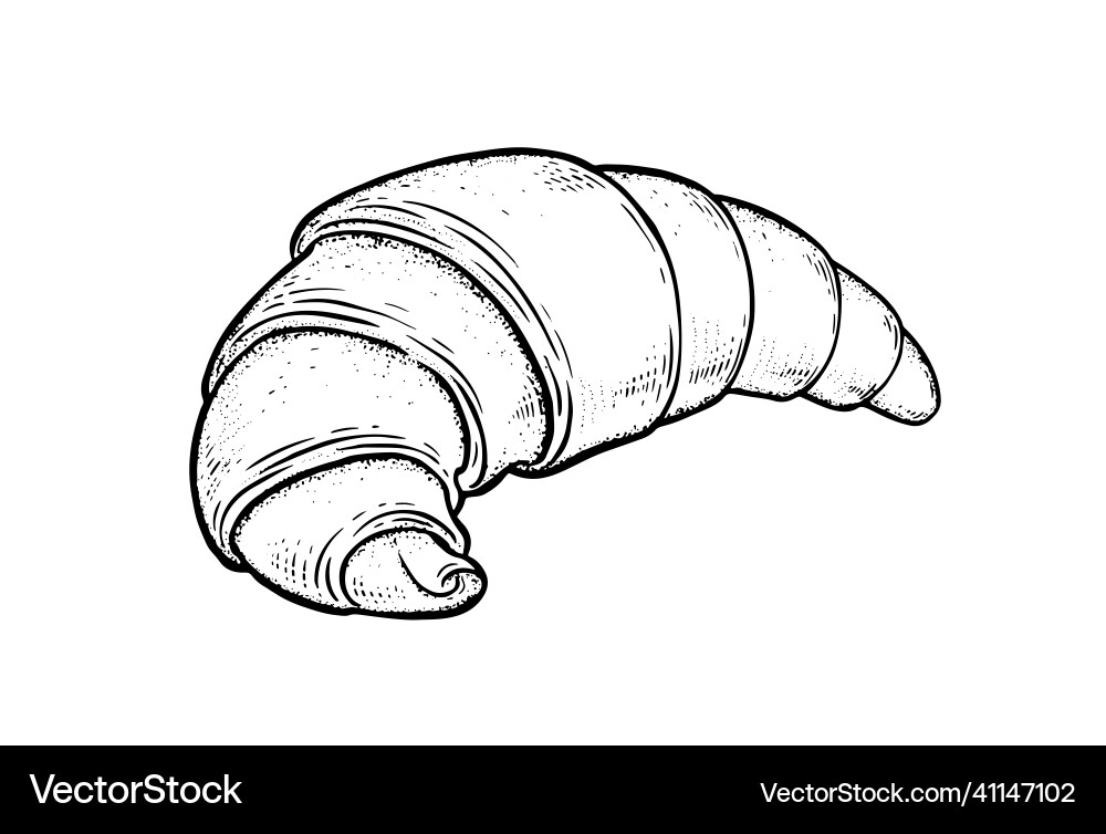 Croissant Royalty Free Vector Image - VectorStock