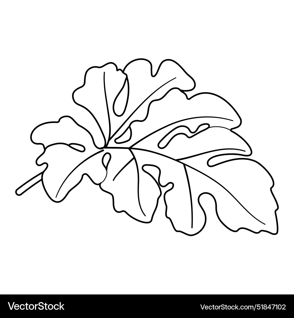 Leaf of watermelon hand drawn doodle style Vector Image