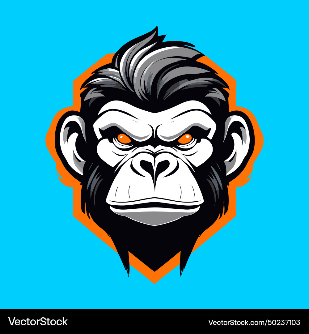Portrait of a monkey head Royalty Free Vector Image