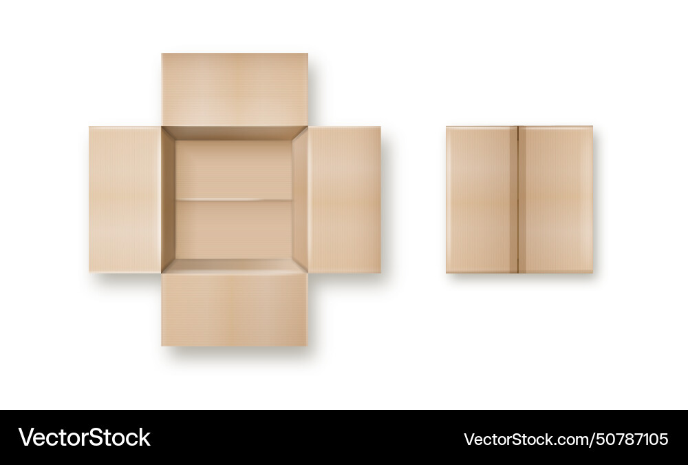 Box empty open and closed cardboard Royalty Free Vector