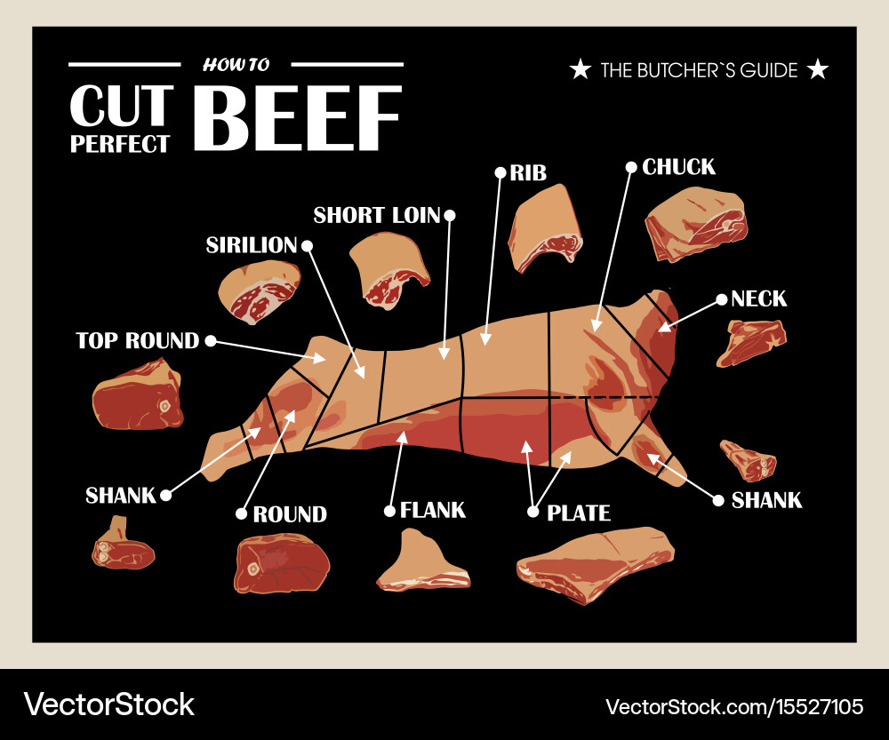 Poster Metzger Diagramm und Schema - Kuhschnitt Vektorbild