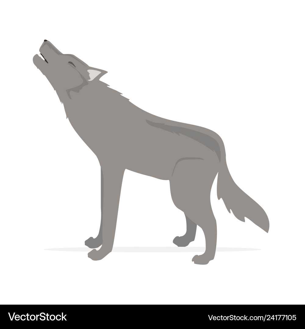 Wild wolf Royalty Free Vector Image - VectorStock