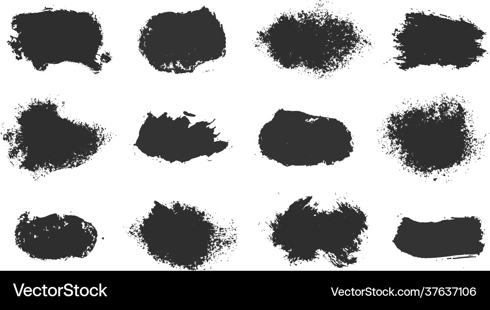 Hand drawn ink design elements sponge Royalty Free Vector