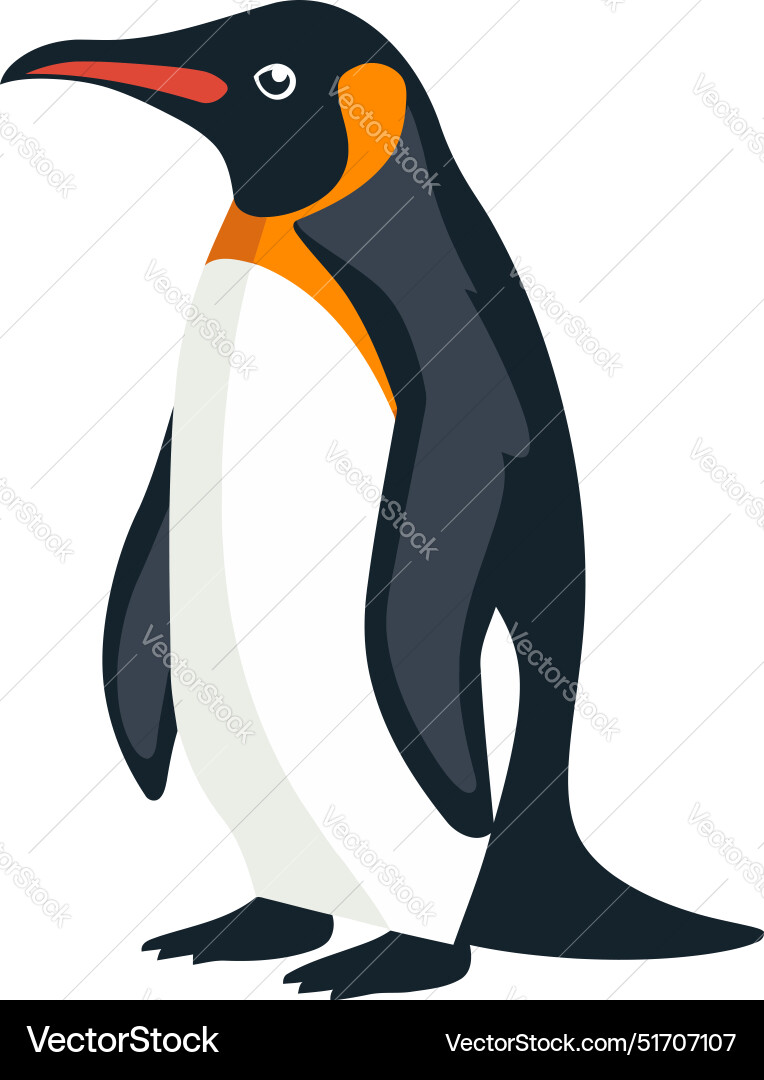 Penguin flat Royalty Free Vector Image - VectorStock