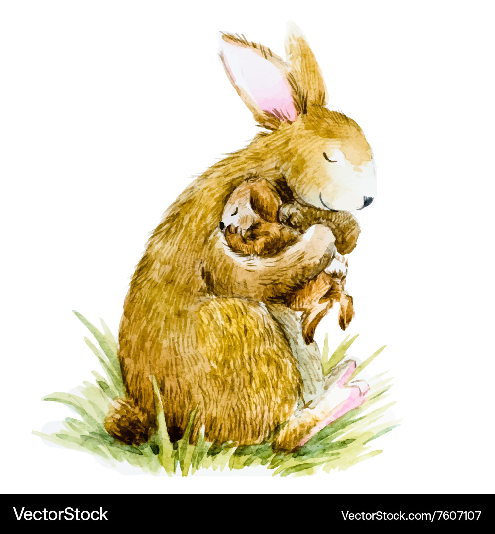 Bunny Love Watercolor Vector Images (over 620)
