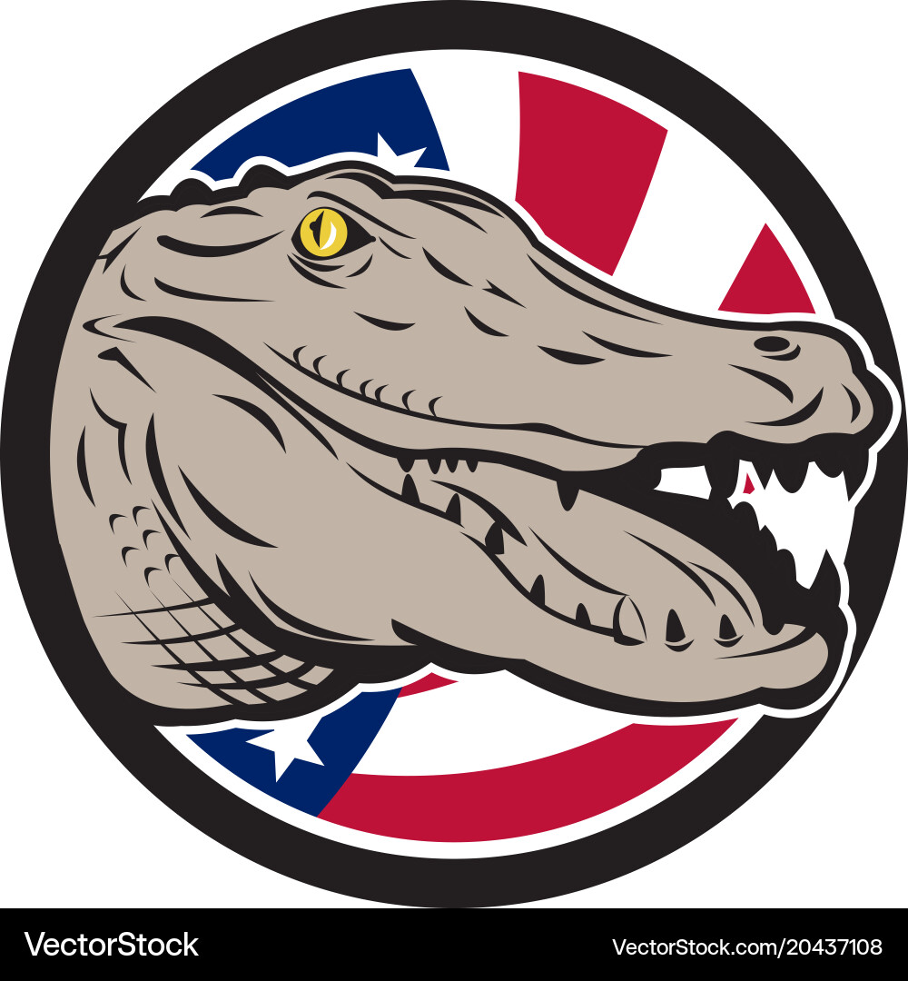 American alligator usa flag icon Royalty Free Vector Image