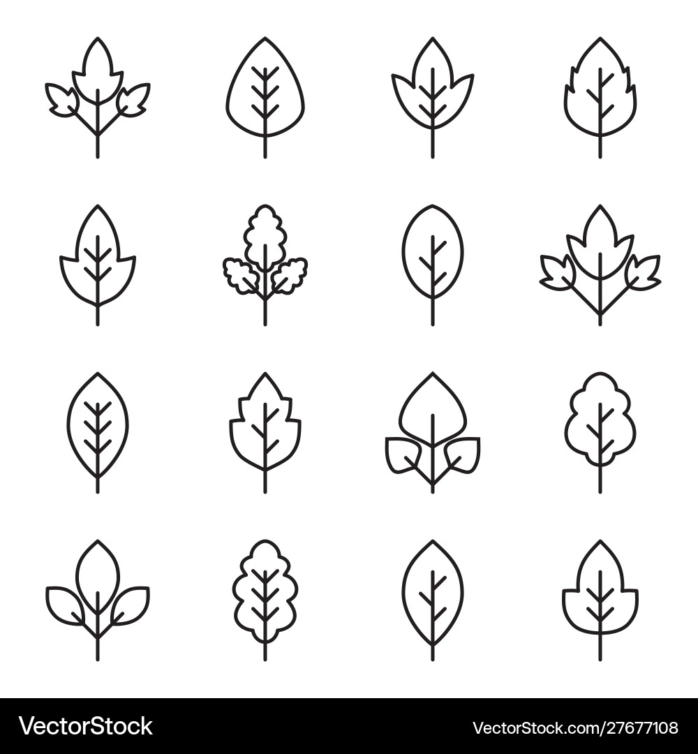 Set simple leaf icons Royalty Free Vector Image