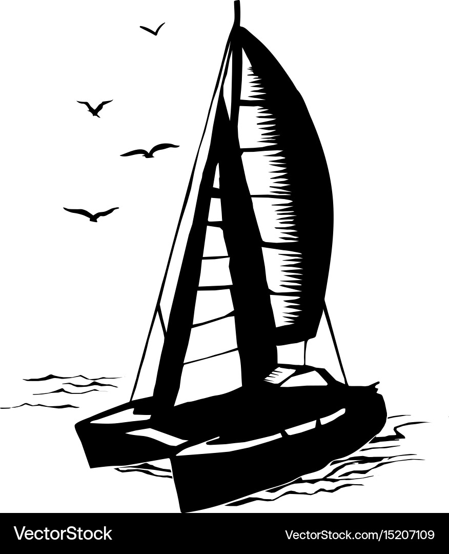 Catamaran Vector Images (over 670)