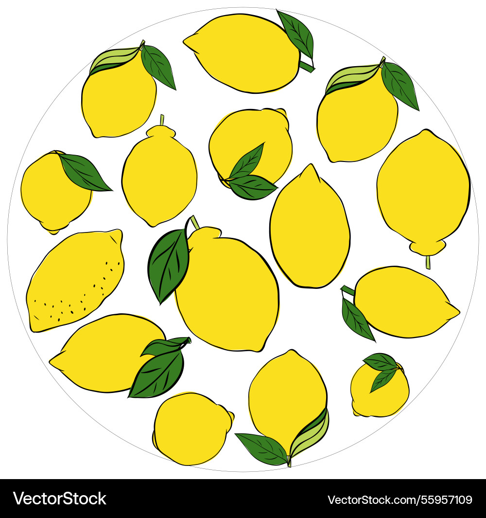 Lemons with leaves circle round composition Vector Image