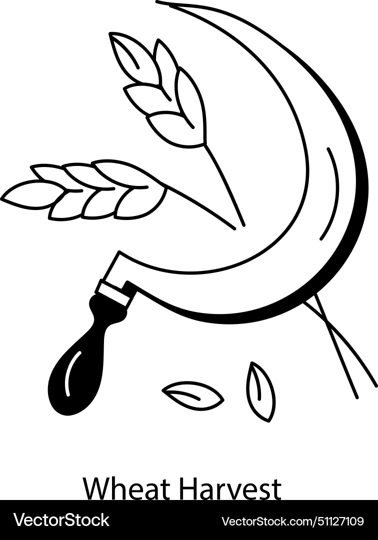 Wheat harvest Royalty Free Vector Image - VectorStock