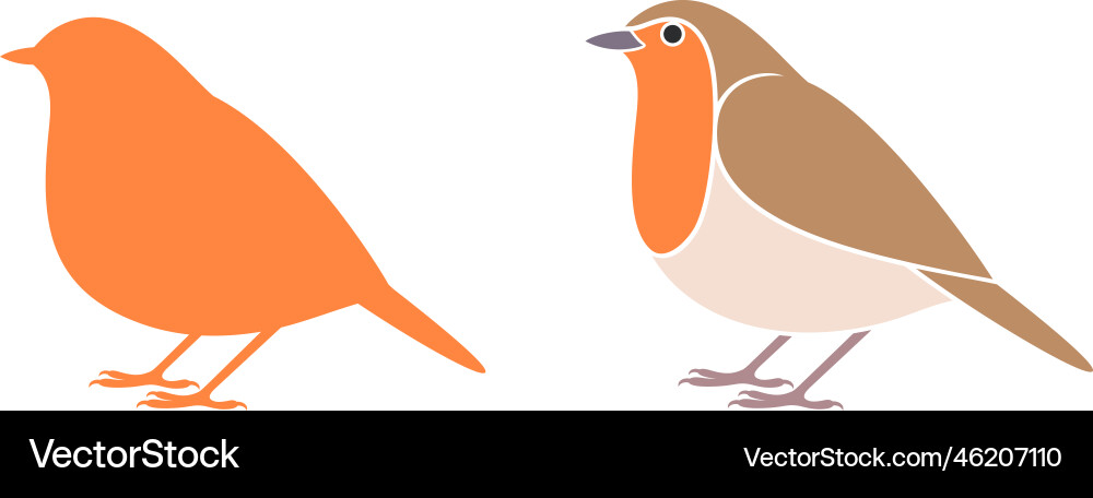 Robin bird Royalty Free Vector Image - VectorStock