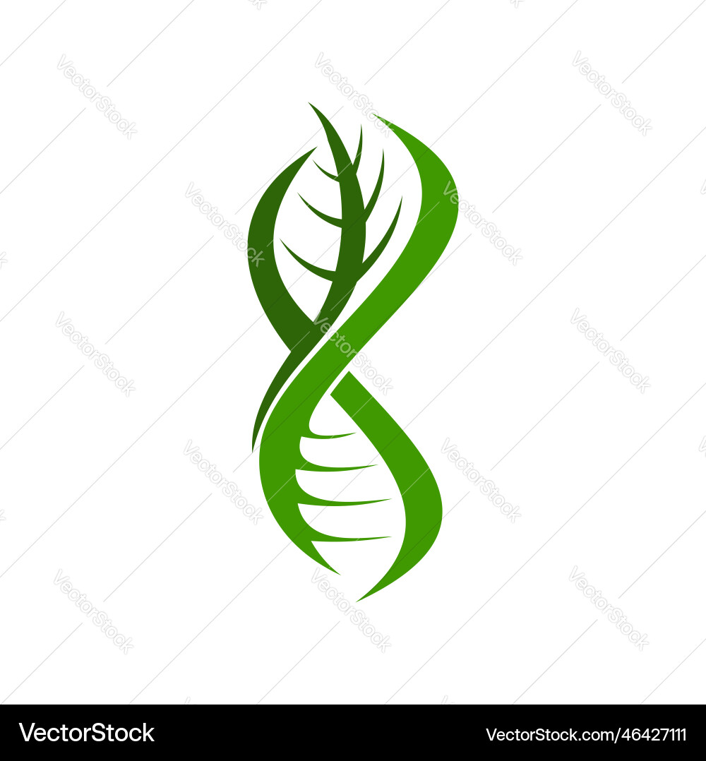 DNA Helix Plant Genetics Icon Royalty Free Vector Image
