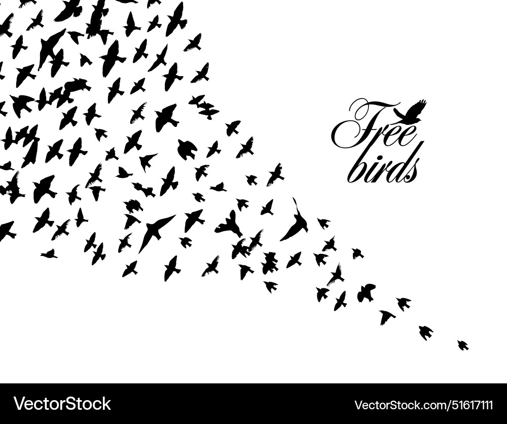 Flying birds silhouette flock hand drawing Vector Image