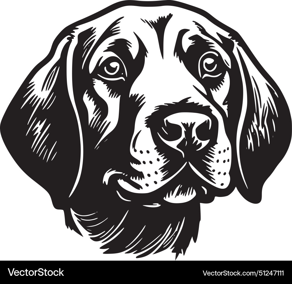 Labrador retriever - minimalist and flat logo Vector Image
