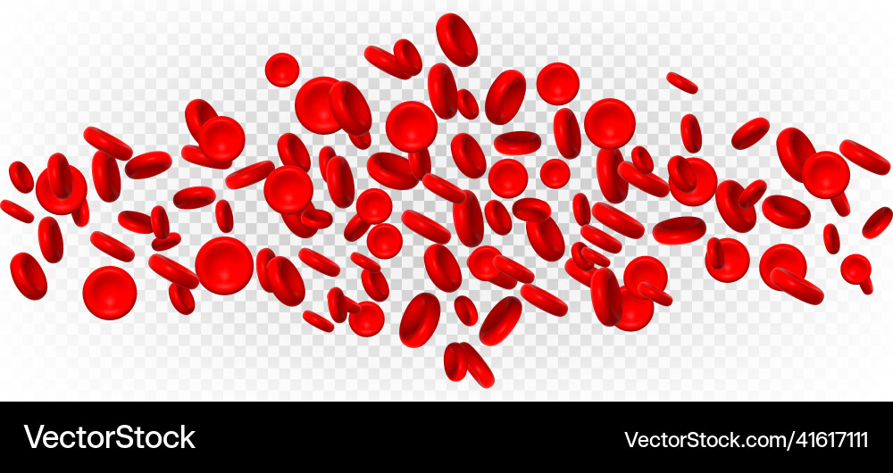 Red blood cells or erythrocytes Royalty Free Vector Image