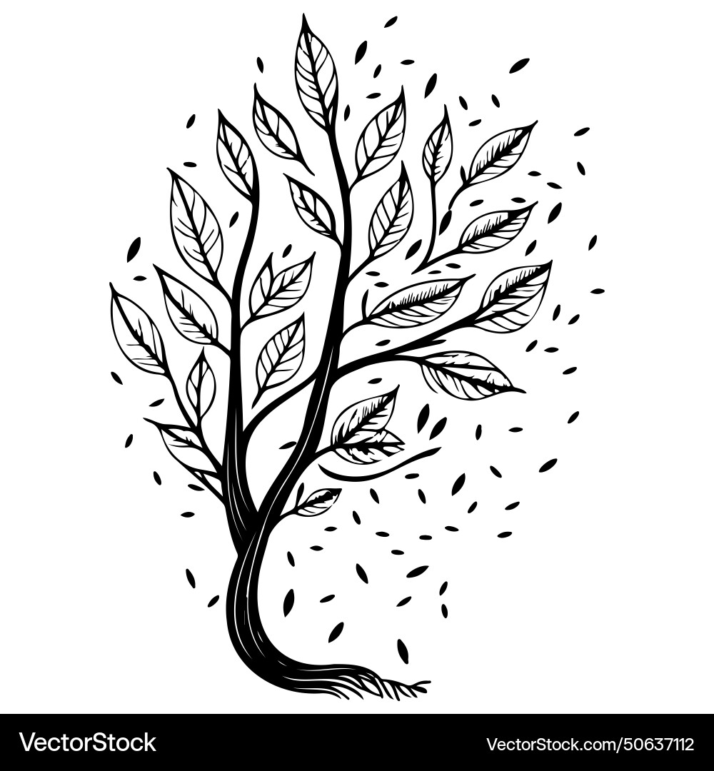 Tree half spring autumn floral sketch hand draw Vector Image
