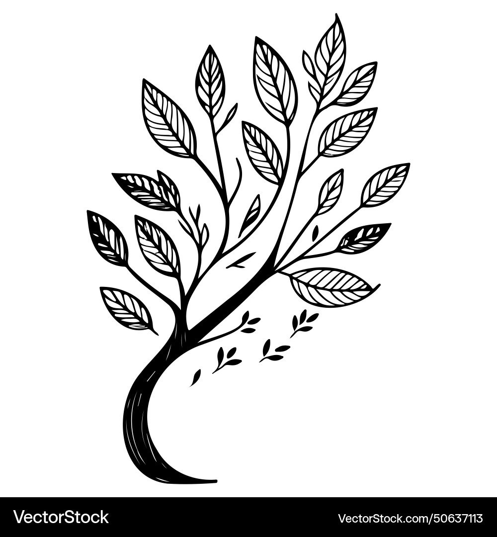 Tree half spring autumn floral sketch hand draw Vector Image
