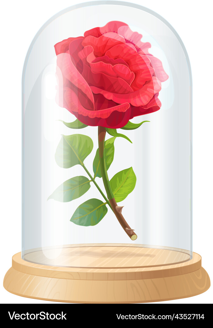Red rose glass flask Royalty Free Vector Image