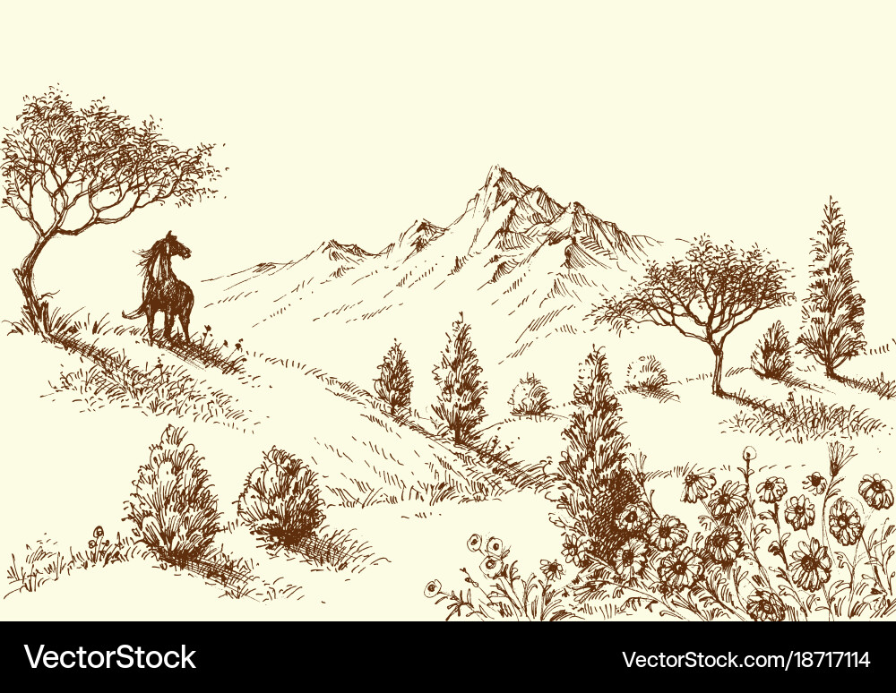 Wilderness Horse Landscape Drawing Royalty Free Vector Image