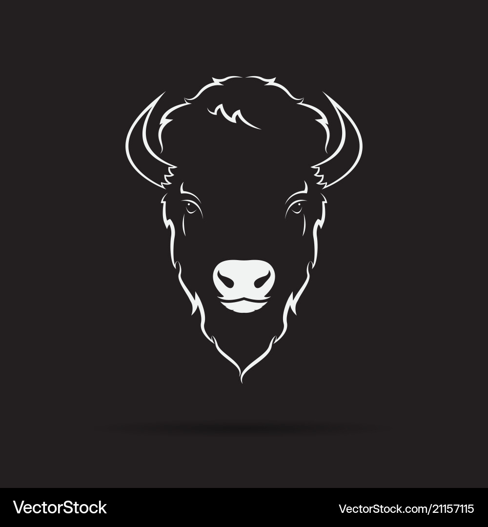 Buffalo head design on black background wild Vector Image