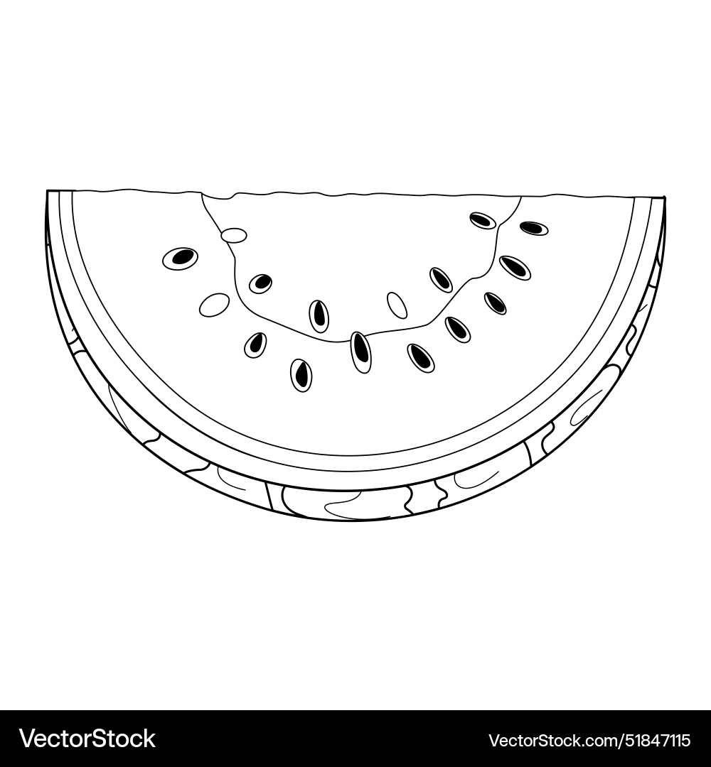 Chopped watermelon line art hand drawn doodle Vector Image