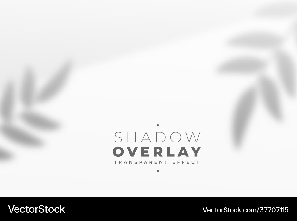 Transparent leaves overlay shadow effect Vector Image