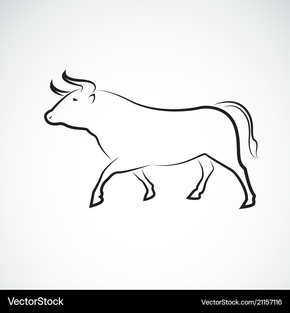 Bull design on white background wild animals Vector Image