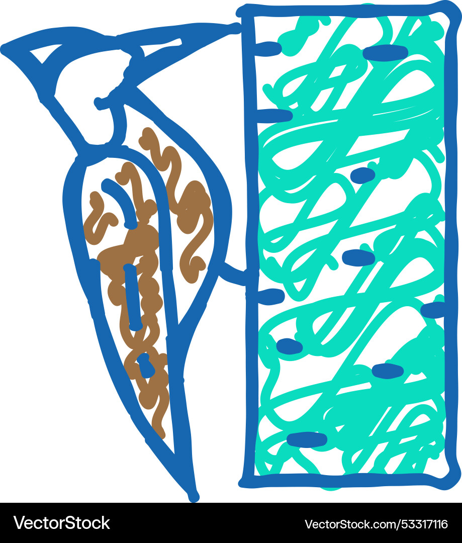 Woodpecker bird icon doodle Royalty Free Vector Image