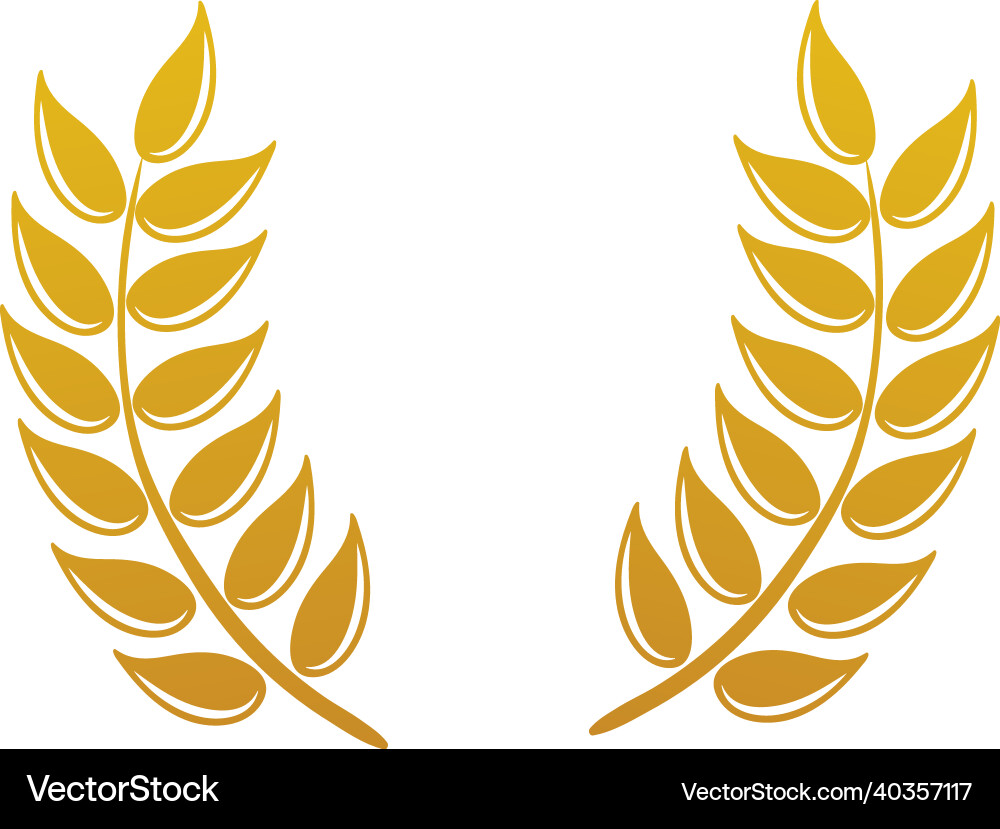 Wheat Grain Vector Whole Wheat Grain Symbol On Green Check Clipart