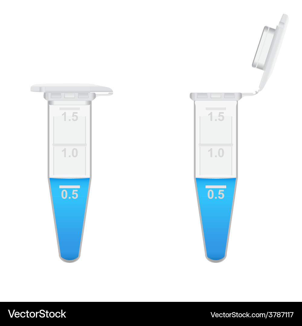 Plastic 18 ml eppendorf tubes with solution Vector Image