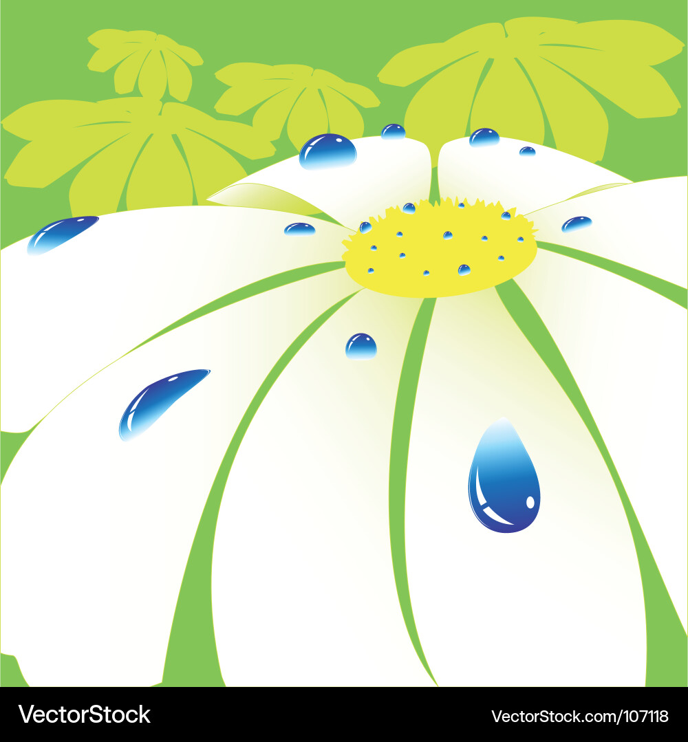 Daisy Royalty Free Vector Image - VectorStock