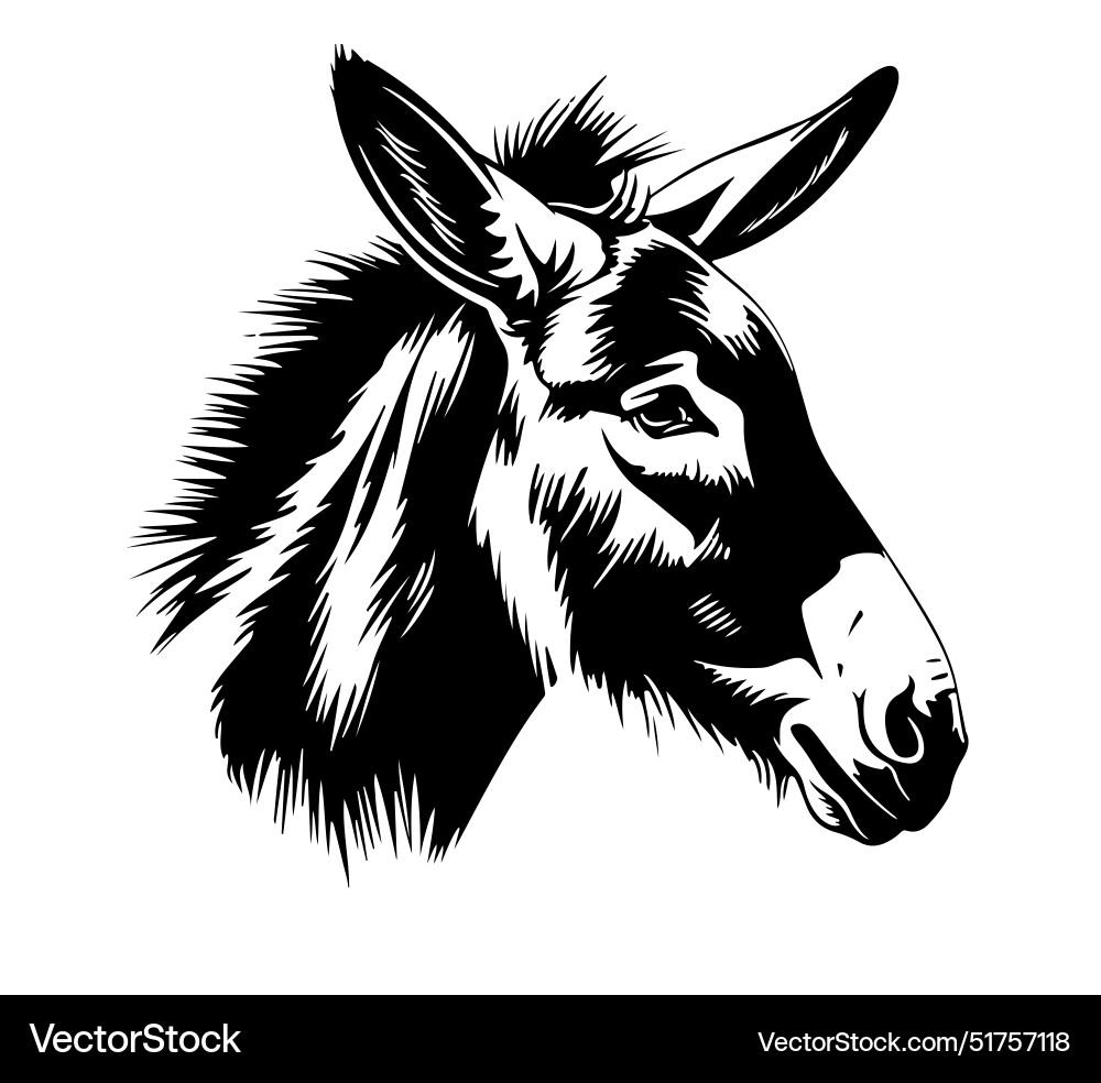 Donkey cute hand drawn sketch Royalty Free Vector Image