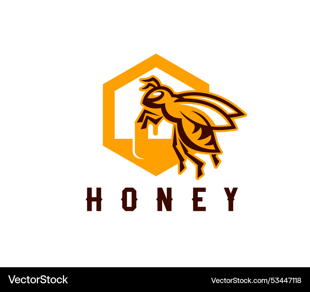 Honey icon bee and honeycomb cell for beekeeping Vector Image