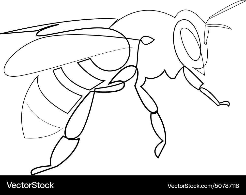 One continuous line drawing of bee single Vector Image