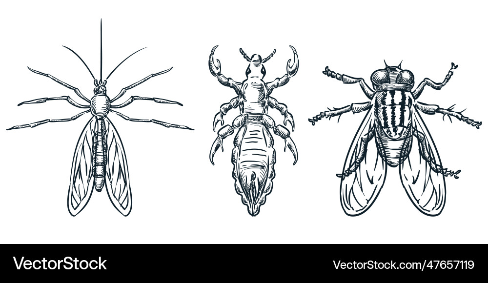 Bloodsucking insect parasites icons hand Vector Image