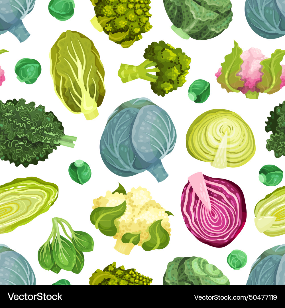 Cabbage vegetable seamless pattern design Vector Image