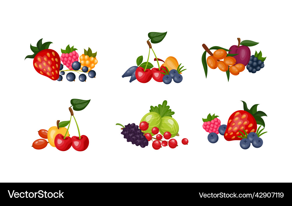 Wild fruit and berry composition fresh summer Vector Image