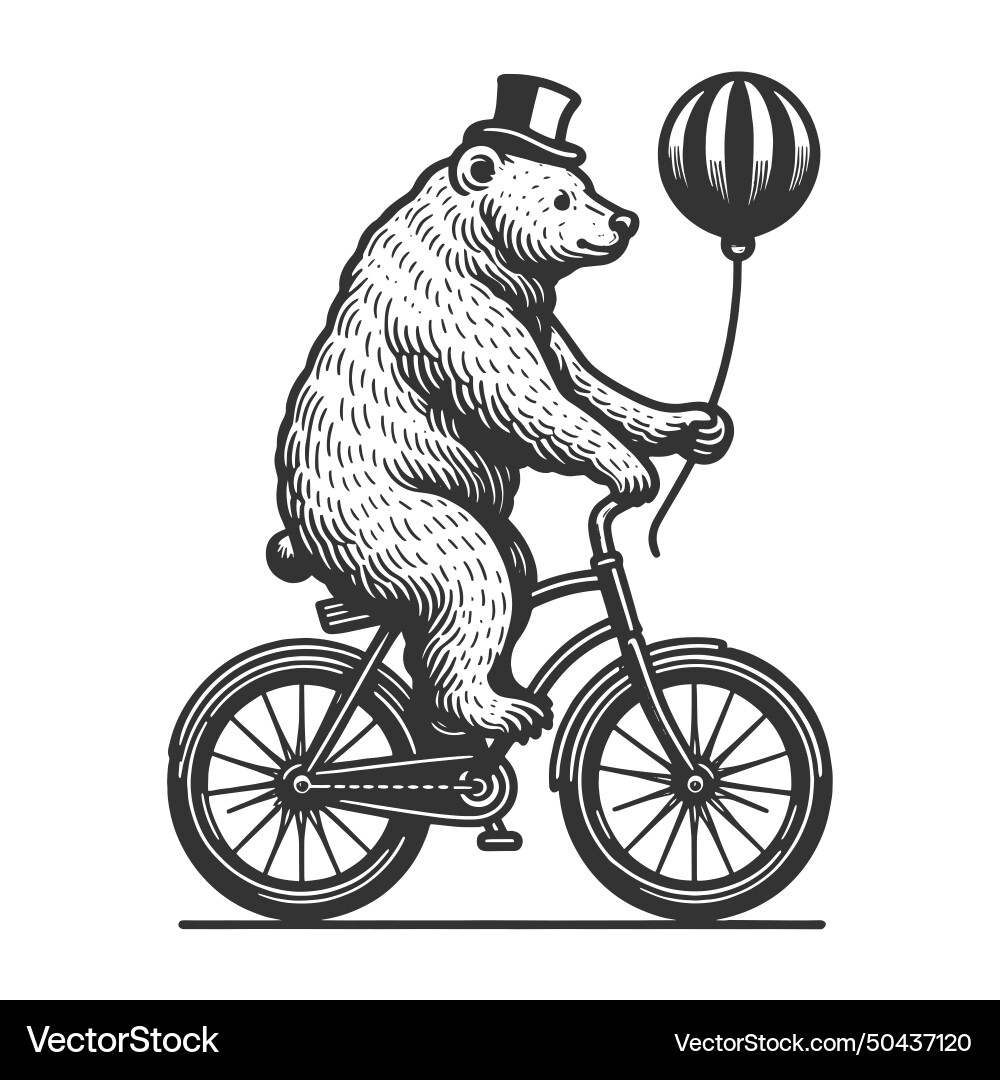 Circus bear rides bicycle sketch Royalty Free Vector Image