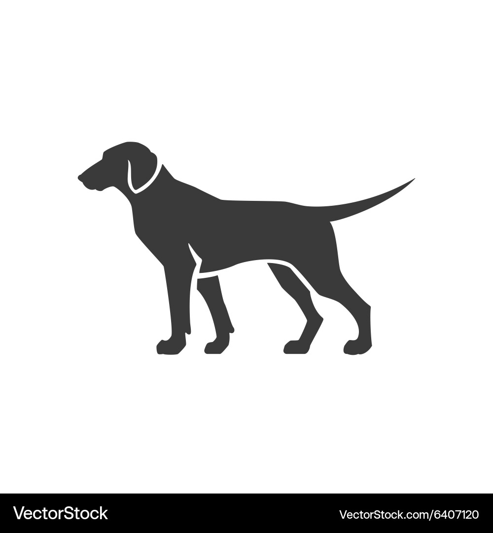 Dog side view isolated on white background Vector Image