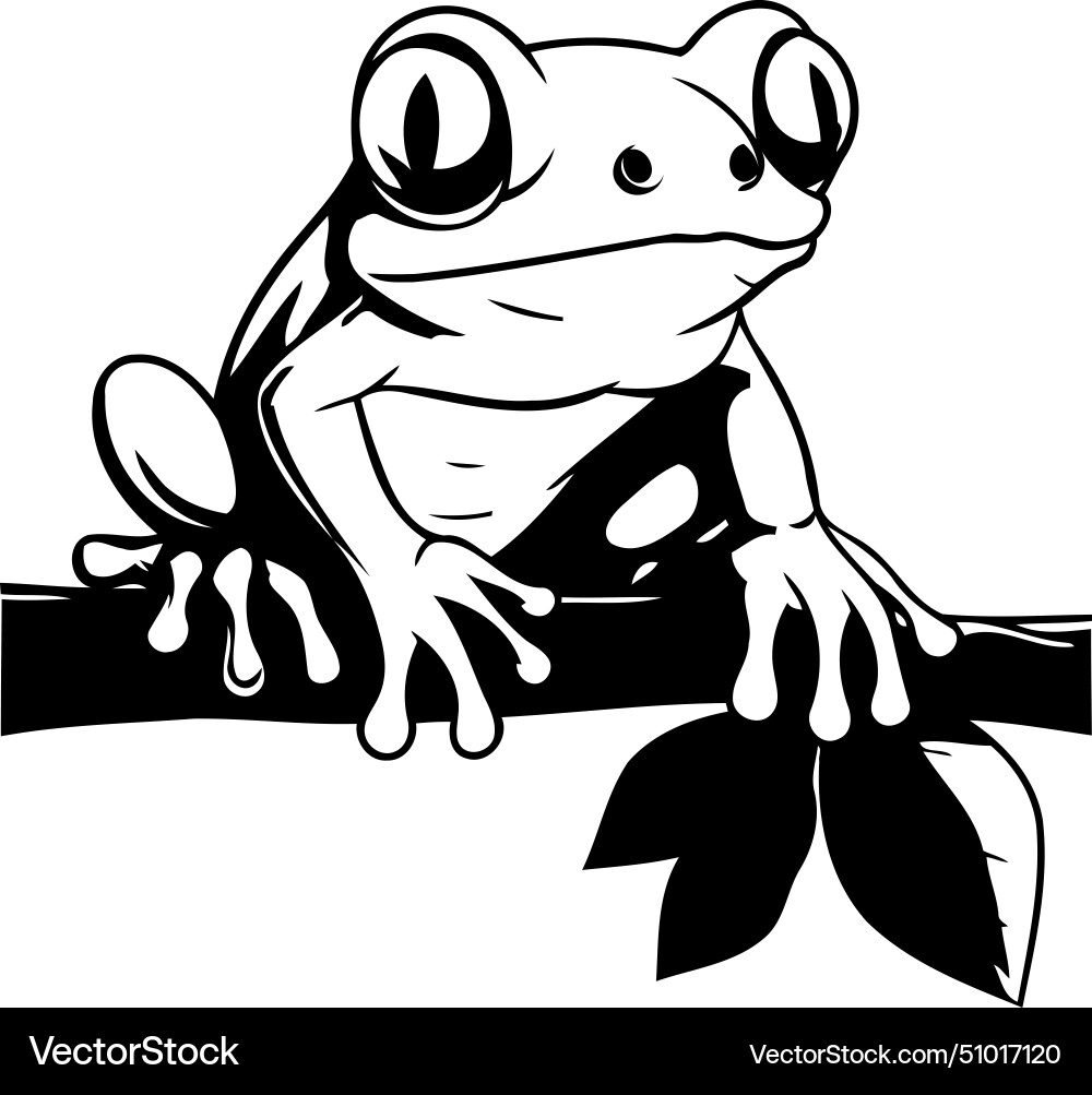 Red-eyed tree frog sitting on a branch Royalty Free Vector