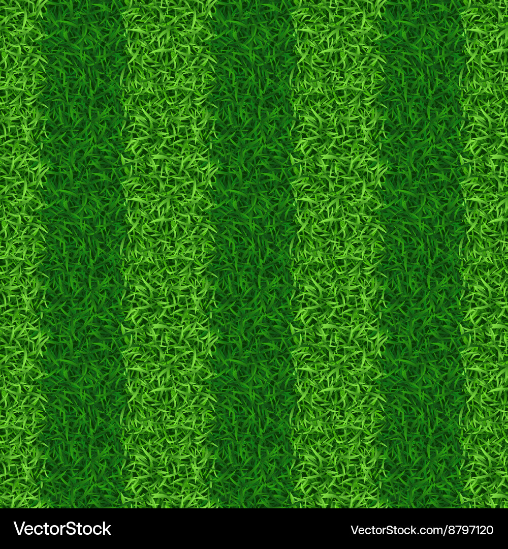 Striped green grass field seamless Royalty Free Vector Image
