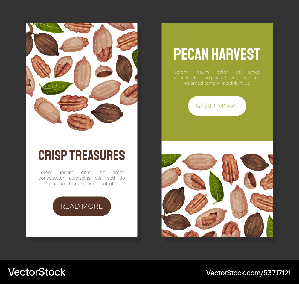 Pecan nut banner design with kernel and shell Vector Image