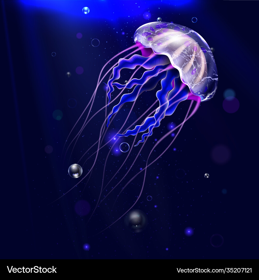 Jellyfish Realistic Vector Images (over 150)