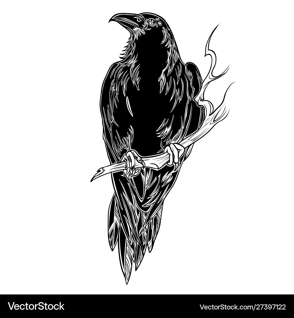 Birds crow horror forest wing Royalty Free Vector Image